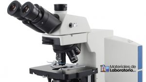 Microscopio de Luz - ¿Qué es, cómo funciona y para qué sirve? 🥇
